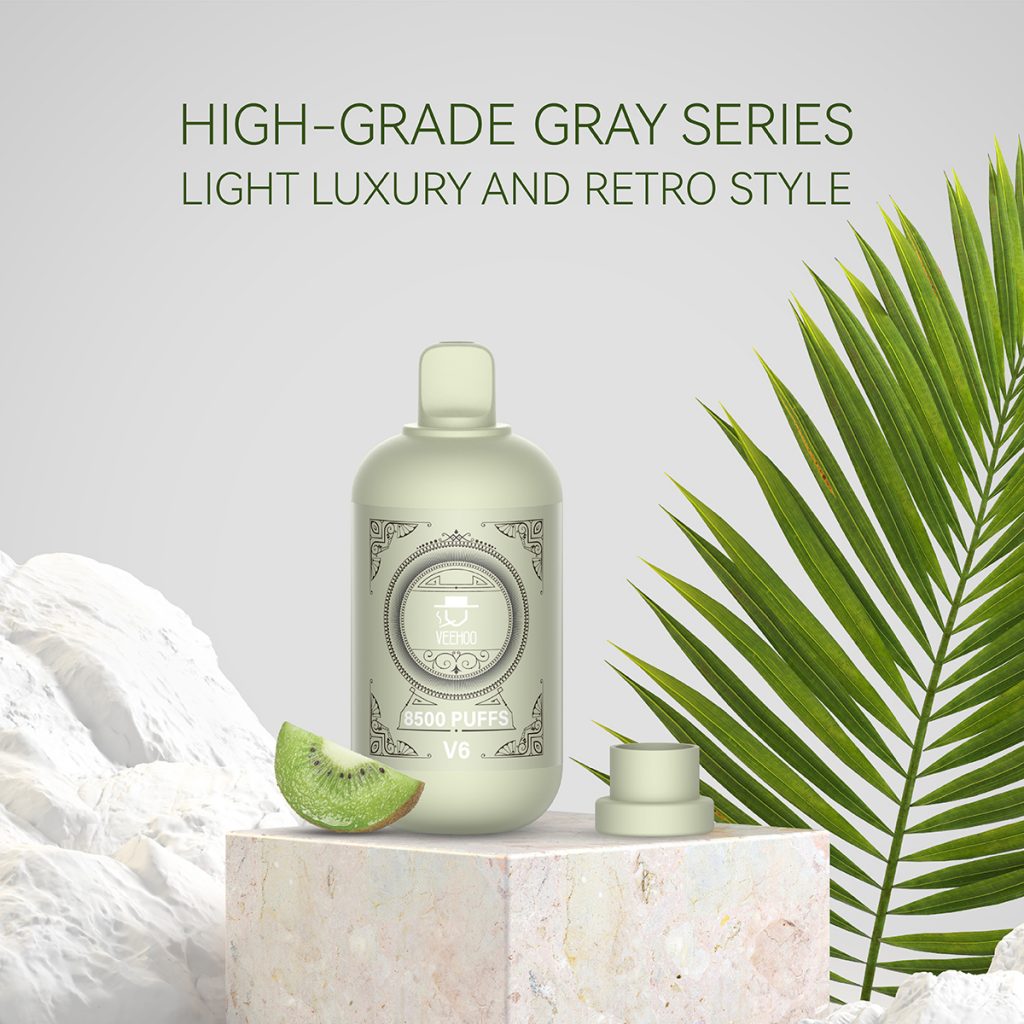 V6 8500puffs Disposable Vape - China VAPE FACTORY | VEEHOO ...