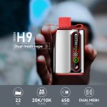 H9 20000puffs 22mL, Dual Mush Coil Disposable Vape - China VAPE FACTORY | VEEHOO international ...